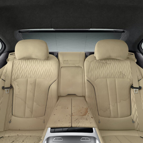 Best Car Interior Cleaning Services in India